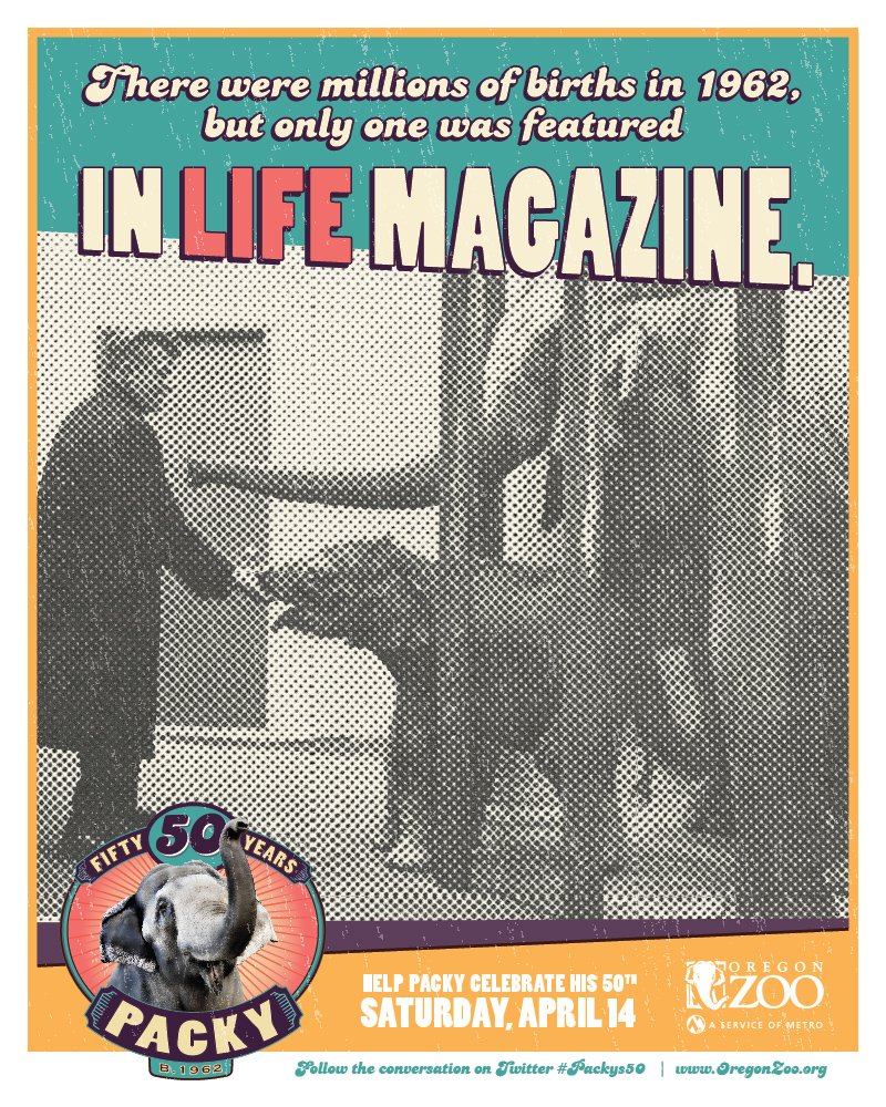 The elephant in the office – Coates Kokes